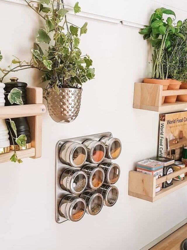 57 Must-Have Van Essentials » VanConverts.com